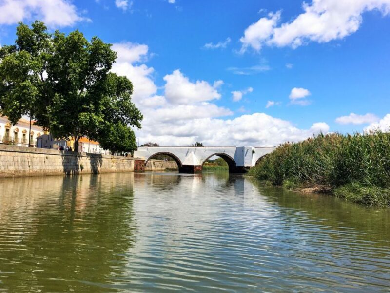Portimão: Silves & Arade River History Tour on a Solar Boat - Exploring the Experience: A Deep Dive