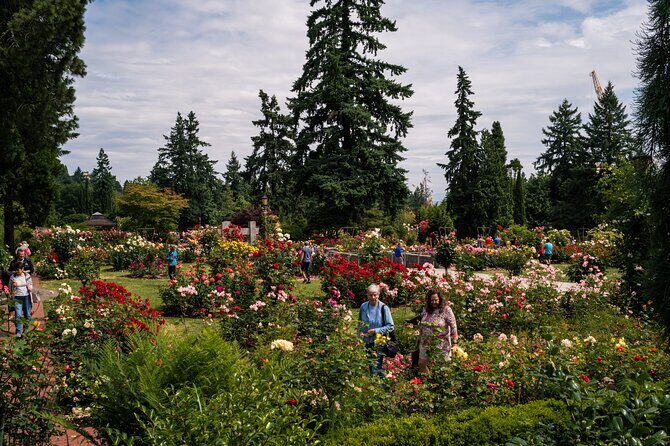 Portland Afternoon City Tour - The Sum Up: Is This Tour Right for You?