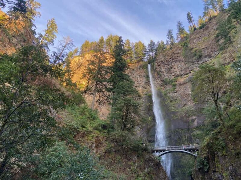 Portland: Columbia Gorge Scenic Bikeway Full-Day Ride - Who Will Enjoy This Tour?