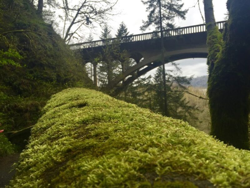 Portland: Columbia River Gorge 3-Hour Small Group Tour - The Sum Up: Why This Tour Is a Solid Choice