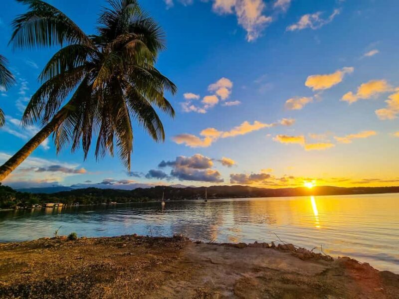 Portland Day Trip - An In-Depth Look at Portland, Jamaica