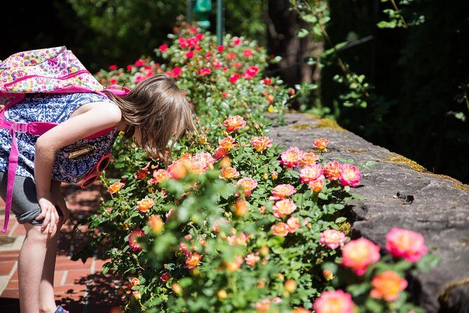 Portland Hop-On Hop-Off Pink Trolley Tour with Gray Line - 1 or 2 Day Pass - FAQ