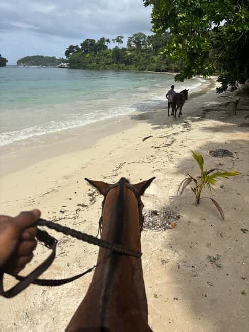 Portland, Jamaica: Horseback Riding Tour - What Is This Tour All About?