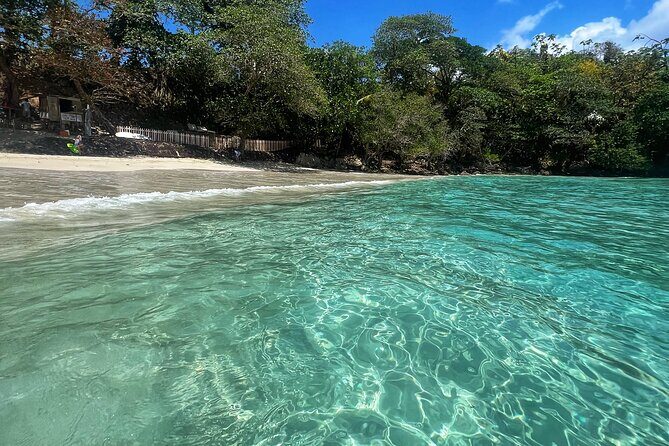 Portland Jamaica Private Day Tour - An In-Depth Look at the Portland Jamaica Private Day Tour