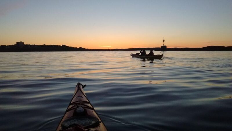 Portland, Maine: Sunset Kayak Tour with a Guide - Authentic Experiences and Customer Feedback