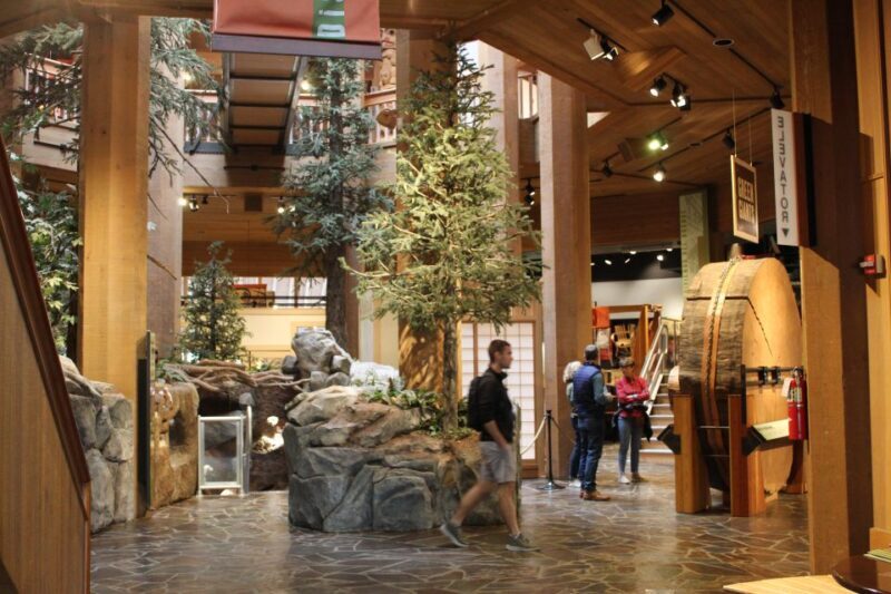 Portland: Morning City Highlights Tour - Price and Value
