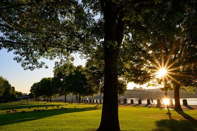 Portland Morning City Tour - Guides and Reviews: Authentic Portland