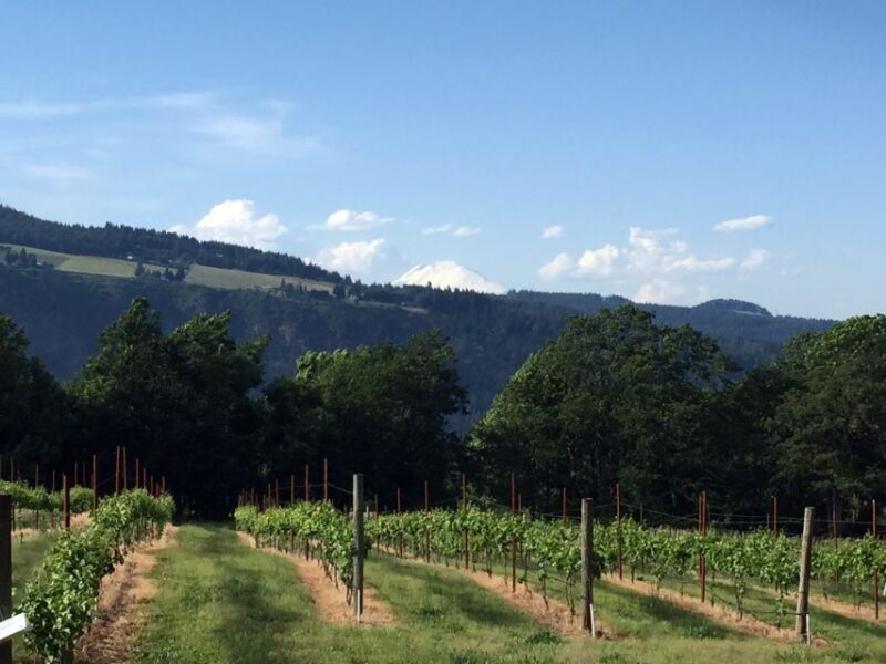 Portland: Mount Hood Wine and Waterfalls Full-Day Tour - The Return Journey