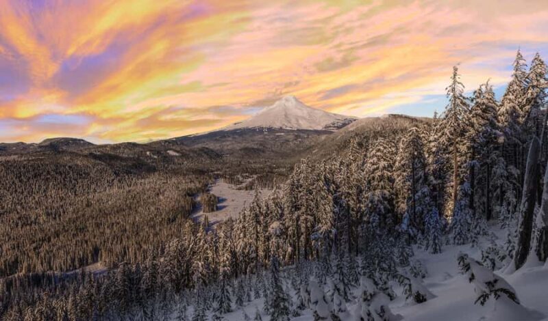 Portland: Mt. Hood Snowshoe Adventure with Lunch - An In-Depth Look at the Tour