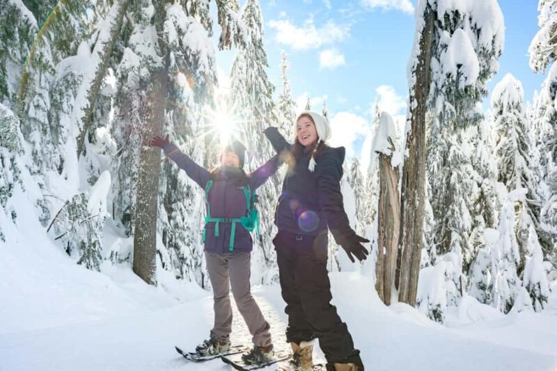 Portland: Mt. Hood Snowshoe Adventure with Lunch - Who Will Love This Tour?
