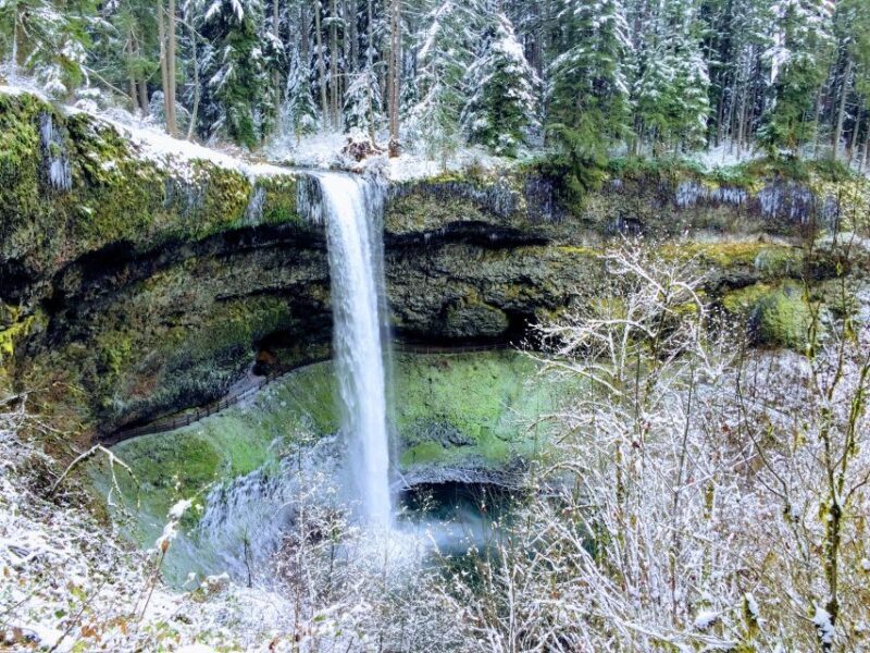 Portland: Silver Falls Hike - Key Points