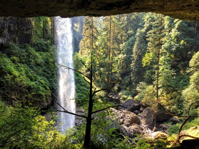 Portland: Silver Falls Hike - An In-Depth Review of the Silver Falls Hike Experience