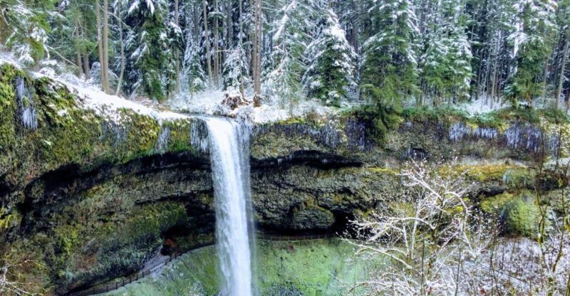 Portland: Silver Falls Hike - Practical Details You Need to Know