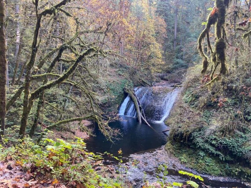 Portland: Silver Falls State Park Waterfall Hike - Pricing and Value