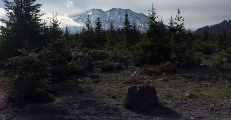 Portland: The Mt. St. Helens Adventure Tour - Detailed Breakdown of the Itinerary