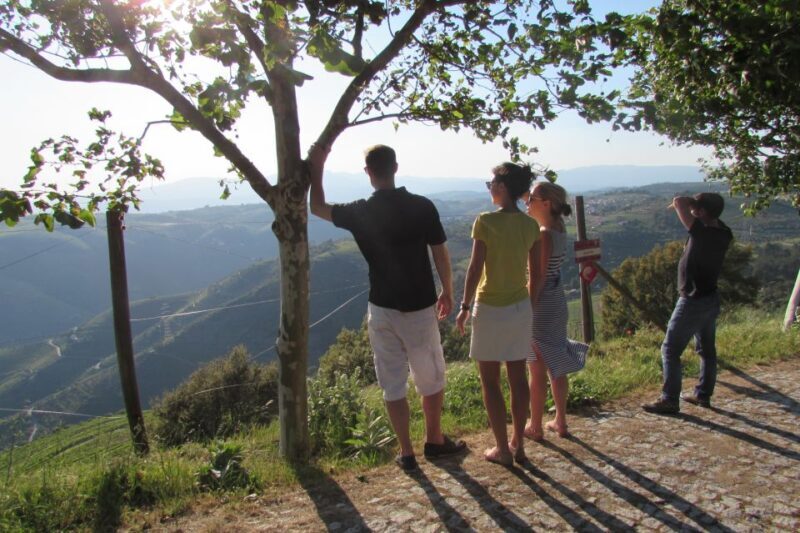 Porto: 3 Douro Valley Vineyards Tour with Lunch - Key Points