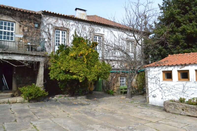 Porto: 3 Douro Valley Vineyards Tour with Lunch - The Itinerary: What to Expect On This Day Trip
