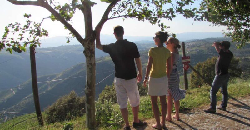 Porto: 3 Douro Valley Vineyards Tour with Lunch - The Experience: What Makes This Tour Stand Out?