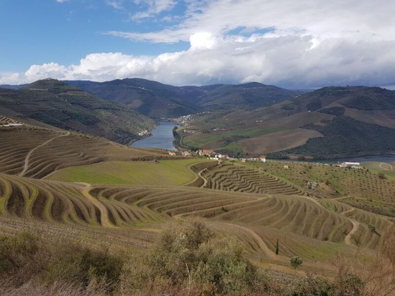 Porto: 3 Douro Valley Vineyards Tour with Lunch - Who Will Enjoy This Tour?