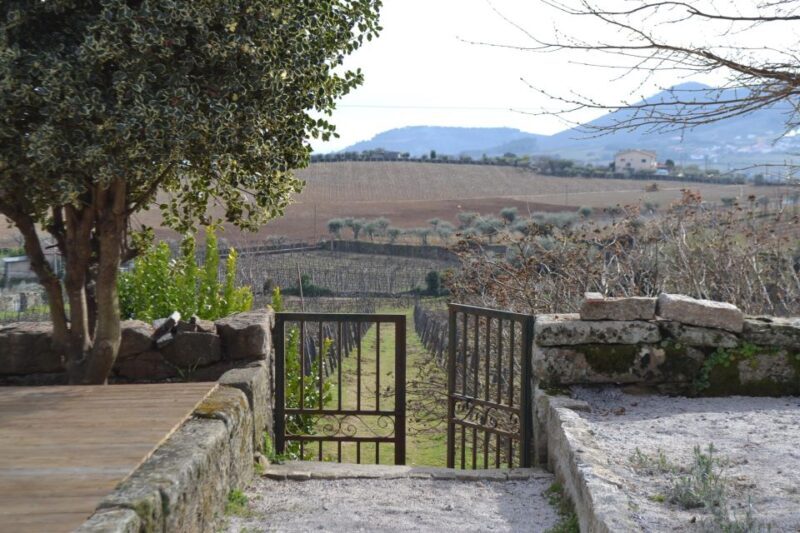 Porto: 3 Douro Valley Vineyards Tour with Lunch - FAQs