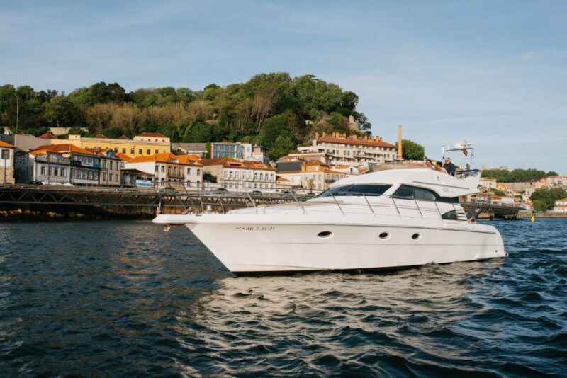 Porto: 3 Hour Douro River Cruise - Why This Douro River Cruise Stands Out