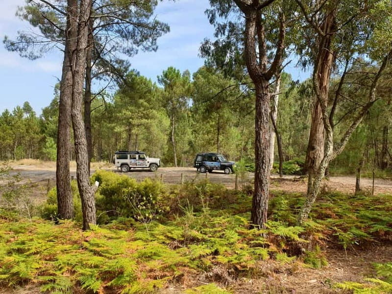 Porto: 4x4 Mountain Tour - The Terrain and Travel Comfort