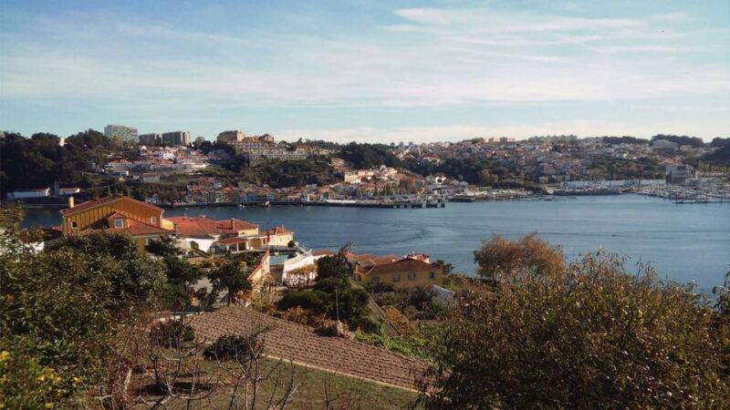 Porto: a ride along the coast in a fun eco-friendly car - Practical Details and What to Keep in Mind