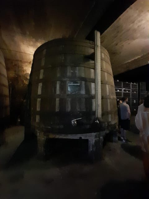 Porto ao Douro melhor experiência vinho e comida Portuguesa - Exploring the Douro Valley in Style and Substance