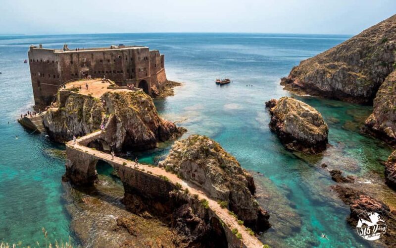 Porto: Berlengas Islands, Óbidos Castle and Peniche Day Trip - Key Points