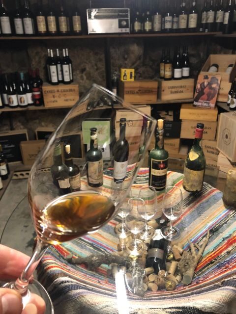 Porto: Cheese and Port Wine Tasting in a Unique Place - Why This Tasting Experience Shines