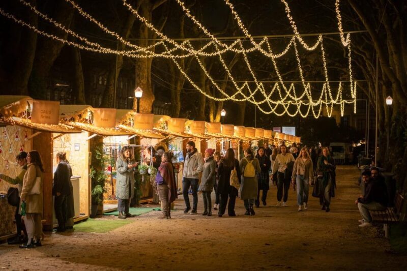 Porto: Christmas Lights Flexible Walking Tour - Exploring the Magic of Porto’s Christmas Lights: A Detailed Review