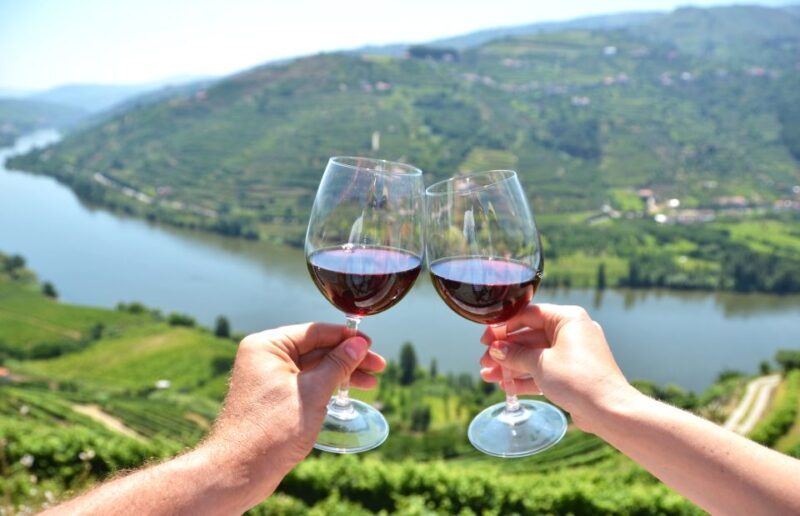 Porto City Full-Day Tour with Wine Tasting - What Travelers Say: Authentic Impressions
