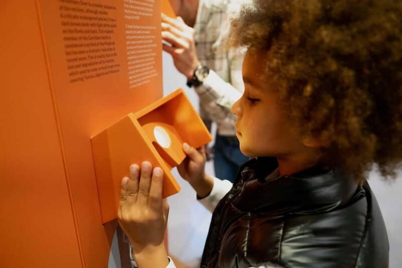 Porto: Cork Museum: Immersive and Perfect for Families - FAQs