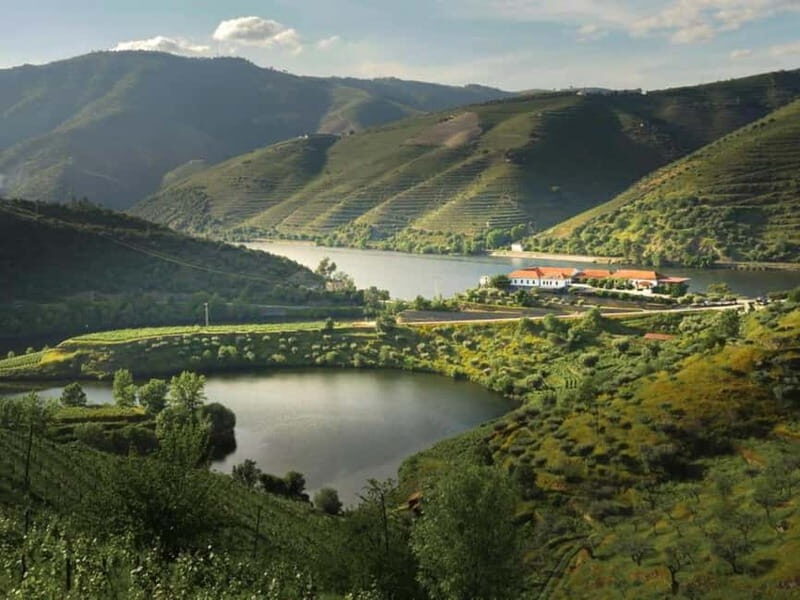 Porto: Dão Wineries Tour with Wine Tasting, Lunch and Cheese - Key Points