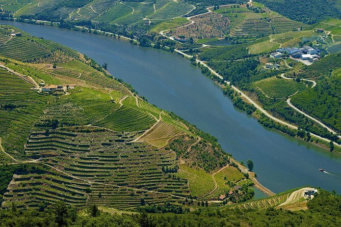 Porto: Day Trip to Douro including lunch and Rivercruise - Visiting a Vineyard Estate