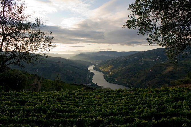Porto: Day Trip to Douro including lunch and Rivercruise - Transportation, Guides, and Value