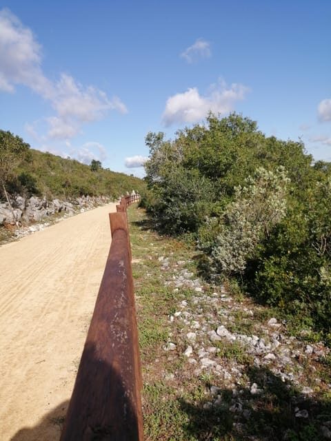 Porto de Mós: "Ecopista" E-Bike Tour - The Practical Aspects