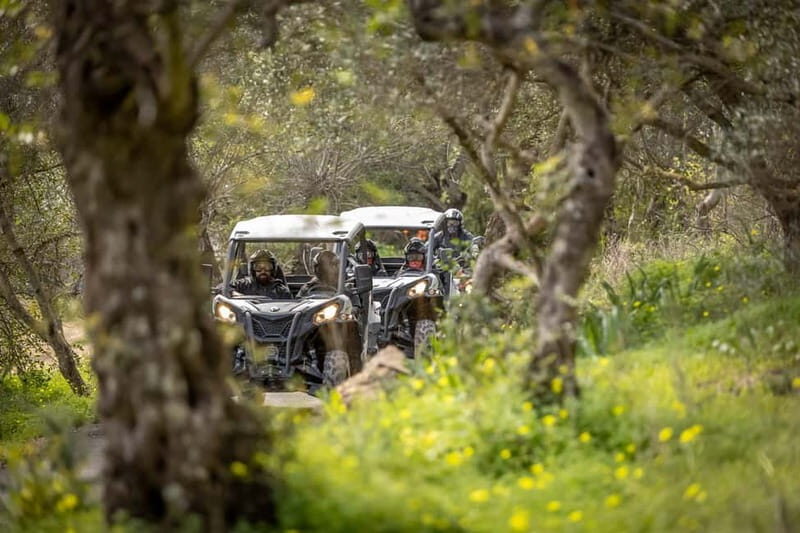Porto: Dirt and Dust Tour by Oporto Buggy - The Experience in Depth