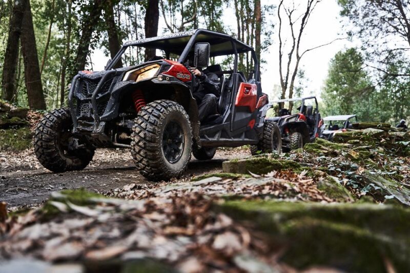 Porto: Dirt and Dust Tour by Oporto Buggy - Reviews & Authentic Experiences
