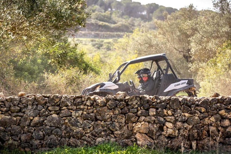 Porto: Dirt and Dust Tour by Oporto Buggy - Who Will Love This Tour?