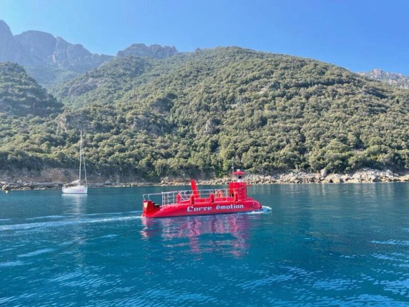 Porto : Discovery of the marine fauna and flora/Bay of Porto - Porto: Discovery of the Marine Fauna and Flora/Bay of Porto