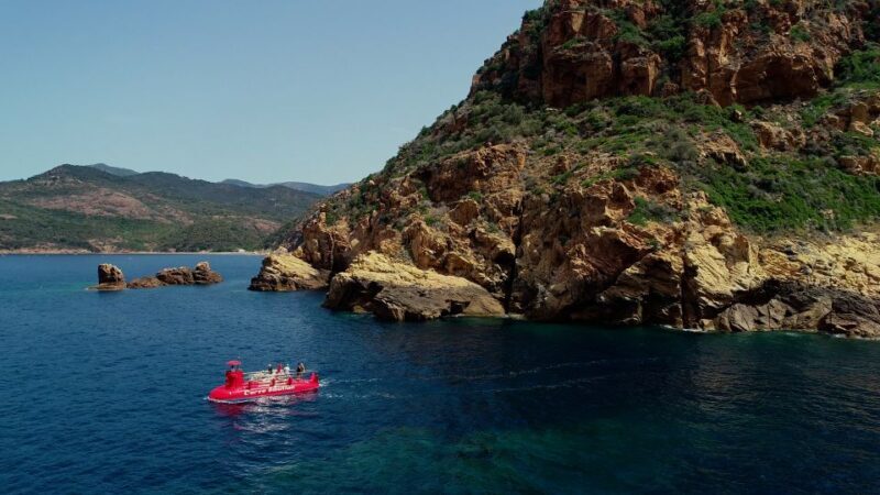 Porto : Discovery of the marine fauna and flora/Bay of Porto - A Closer Look at the Porto Semi-Submarine Tour