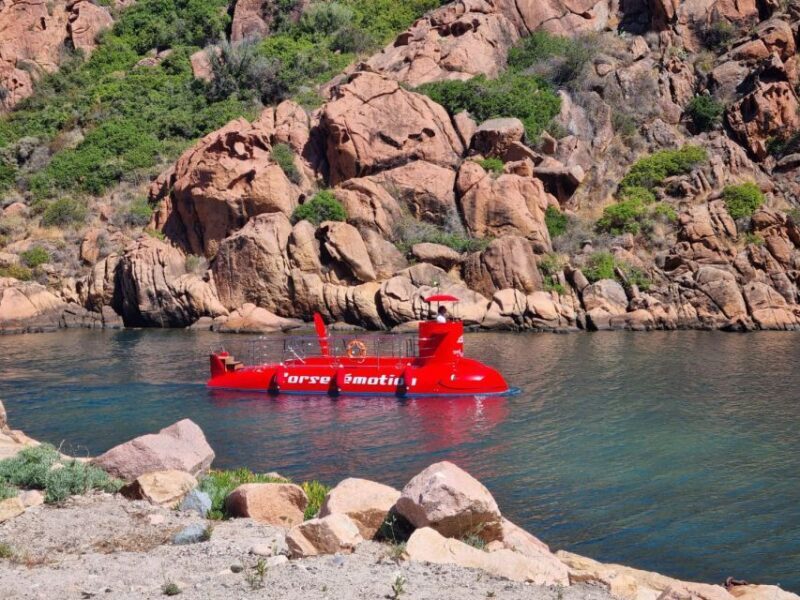 Porto : Discovery of the marine fauna and flora/Bay of Porto - Who Is This Tour Best For?