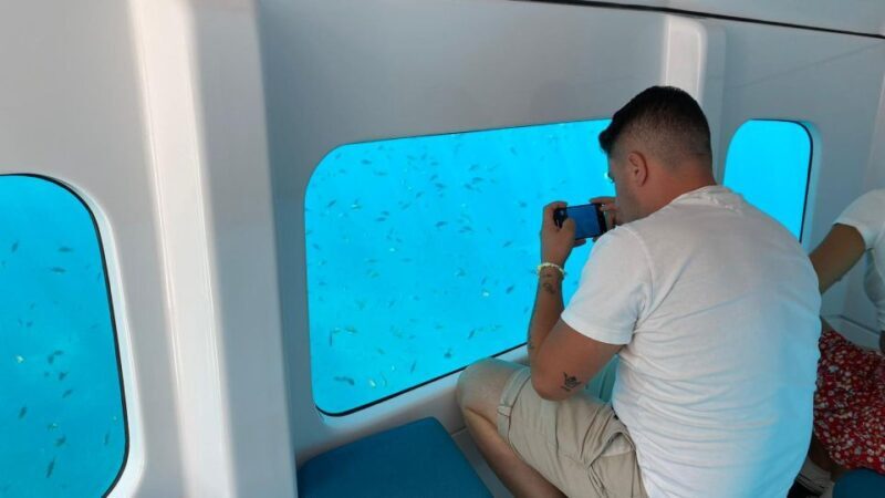 Porto : Discovery of the marine fauna and flora/Bay of Porto - The Sum Up