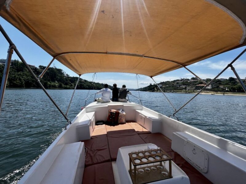 Porto: Douro River Boat Cruise with Port Wine Tasting - The Experience: What You’ll Feel and See