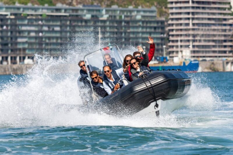 Porto: Douro River Speedboat Tour - Who Should Consider This Tour?