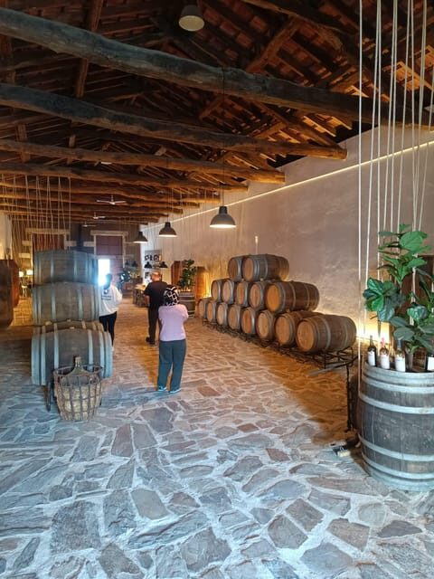 Porto: Douro valley 2 farms with wine tasting and lunch - Key Points