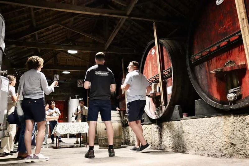 Porto: Douro Valley, 2 Wineries, Lunch & Private Boat Trip - Final Thoughts