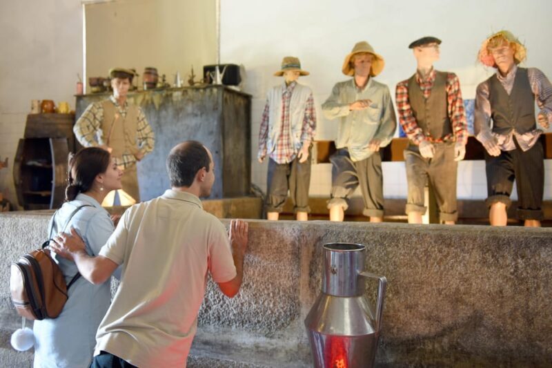Porto: Douro Valley Day Trip with Lunch and Favaios Village - Pricing and Value