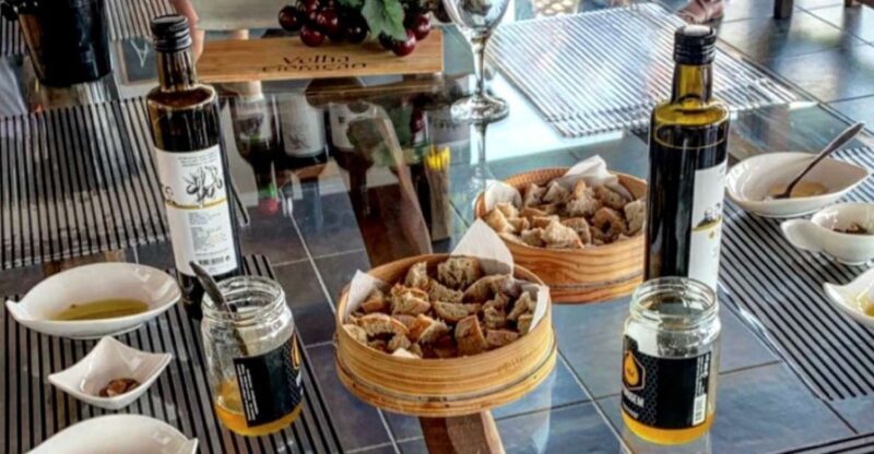 Porto: Douro Valley Day Trip with Wine Tasting and Lunch - Key Points